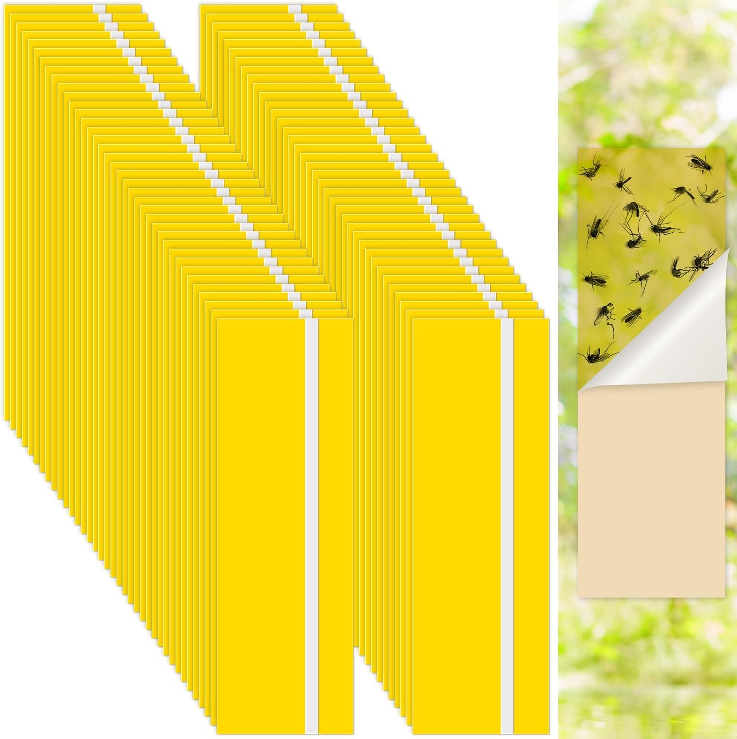 Amazon.com : Kittmip 100 Pack Window Fly Traps Yellow Fruit Fly Strips ...
