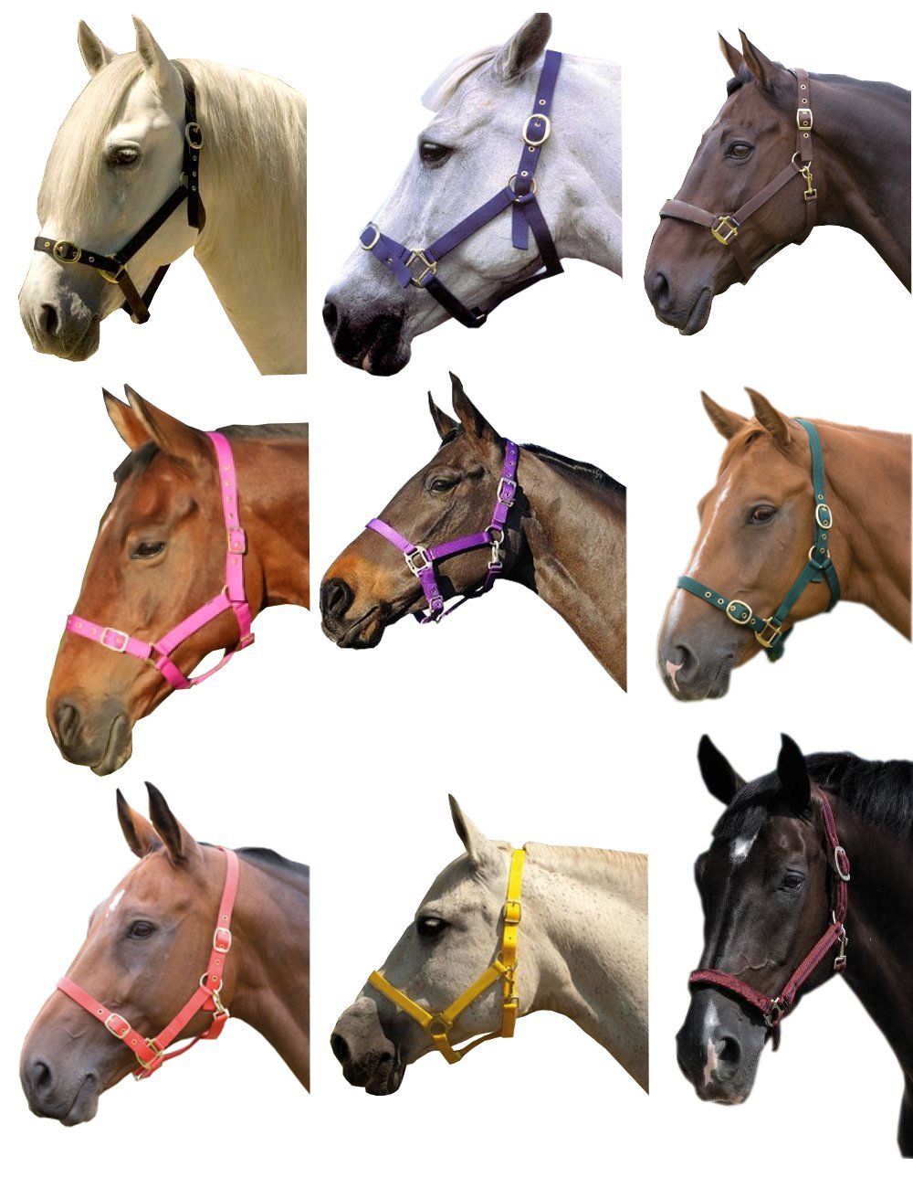 Buy William Hunter Equestrian Eclipse Nylon Horse Headcollar - Fully ...