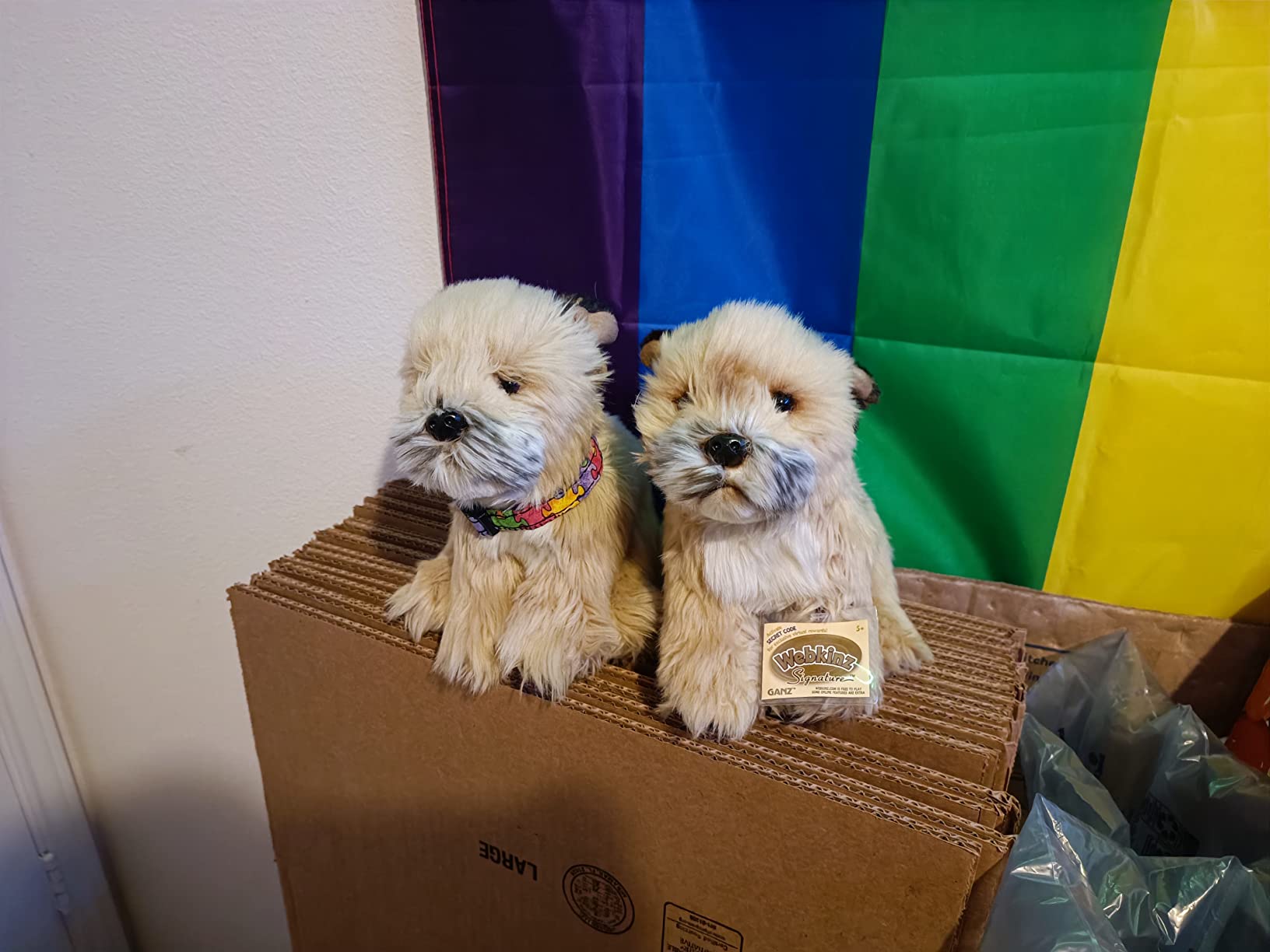 Amazon.com: Webkinz Signature Border Terrier with Trading Cards by Webkinz