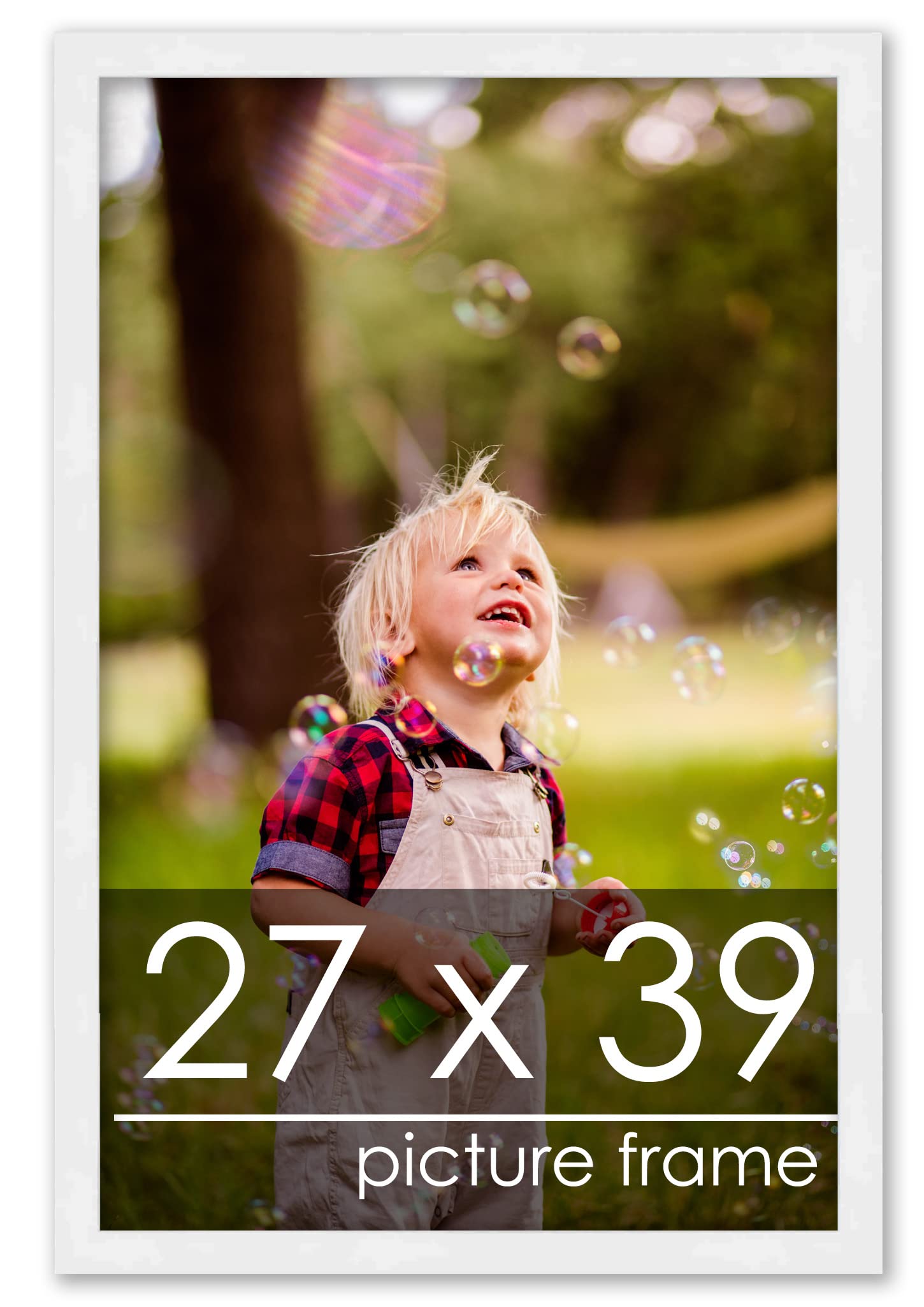 Poster Frames 27 X 39