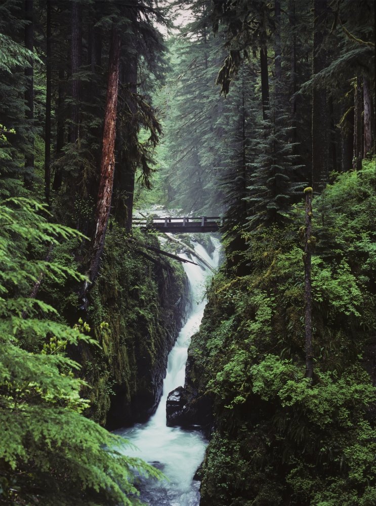 Sol Duc River Washington Map Sol Duc Group Campground In Olympic
