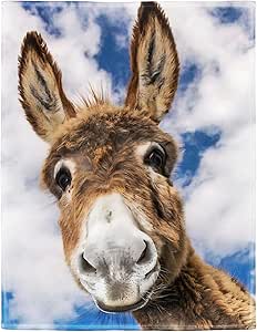 Amazon.com: HommomH 50"x60" Donkey Blanket Animal Selfie Blankets Soft ...