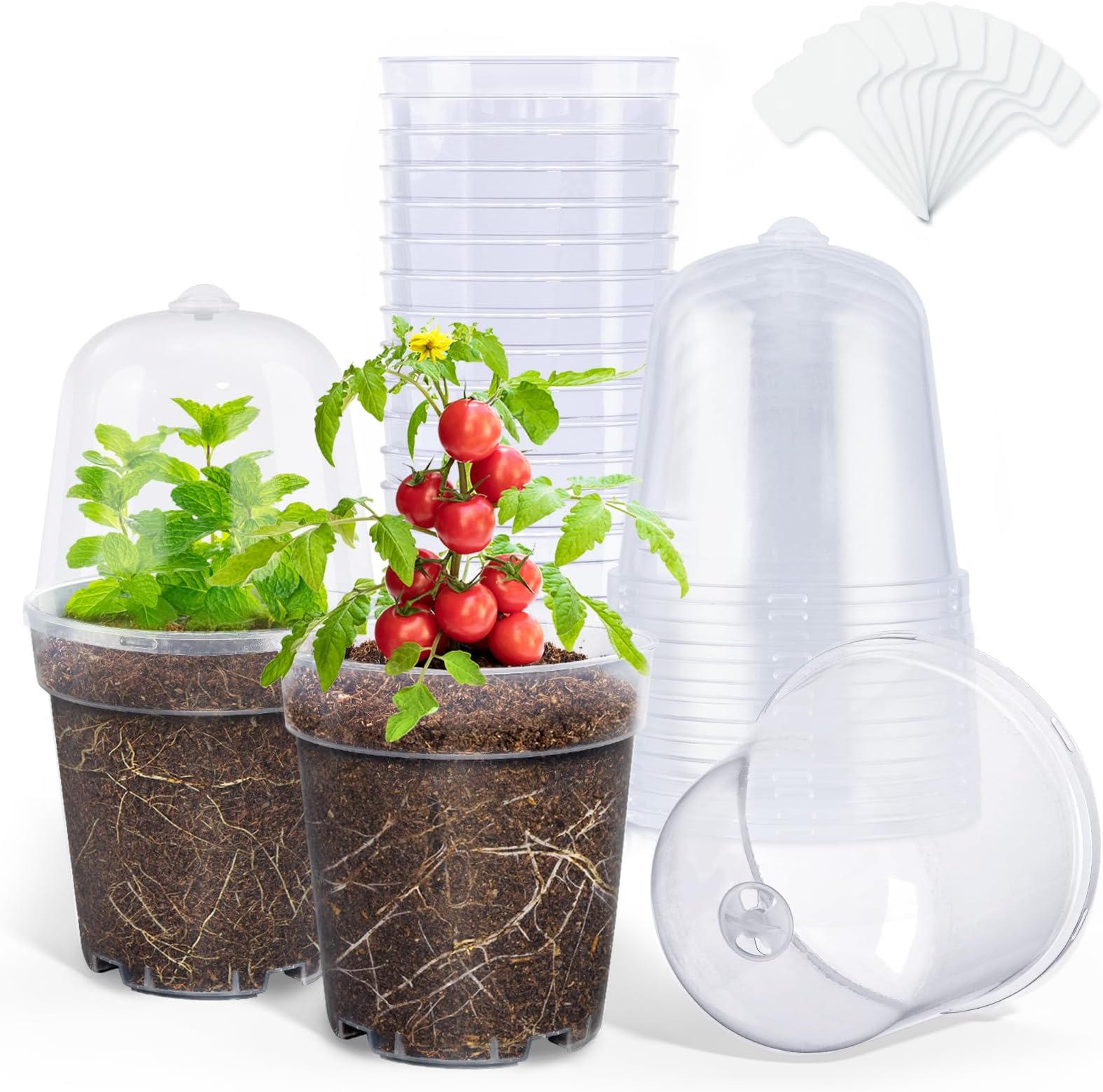 Amazon.com: GUEQUITLEX 45 Pack Nursery Pots with Humidity Dome 3.5''/4 ...