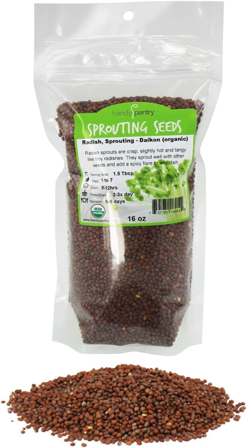 Amazon.com : Organo Republic Radish Sprouting & Microgreens Seeds - Non ...