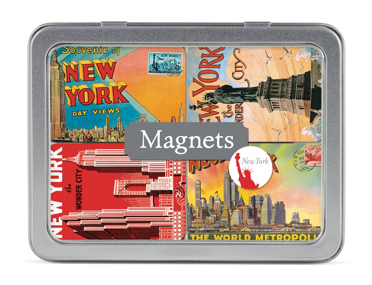 Cavallini & Co. New York Designed Magnets in a Tin - Assorted (Pack of ...