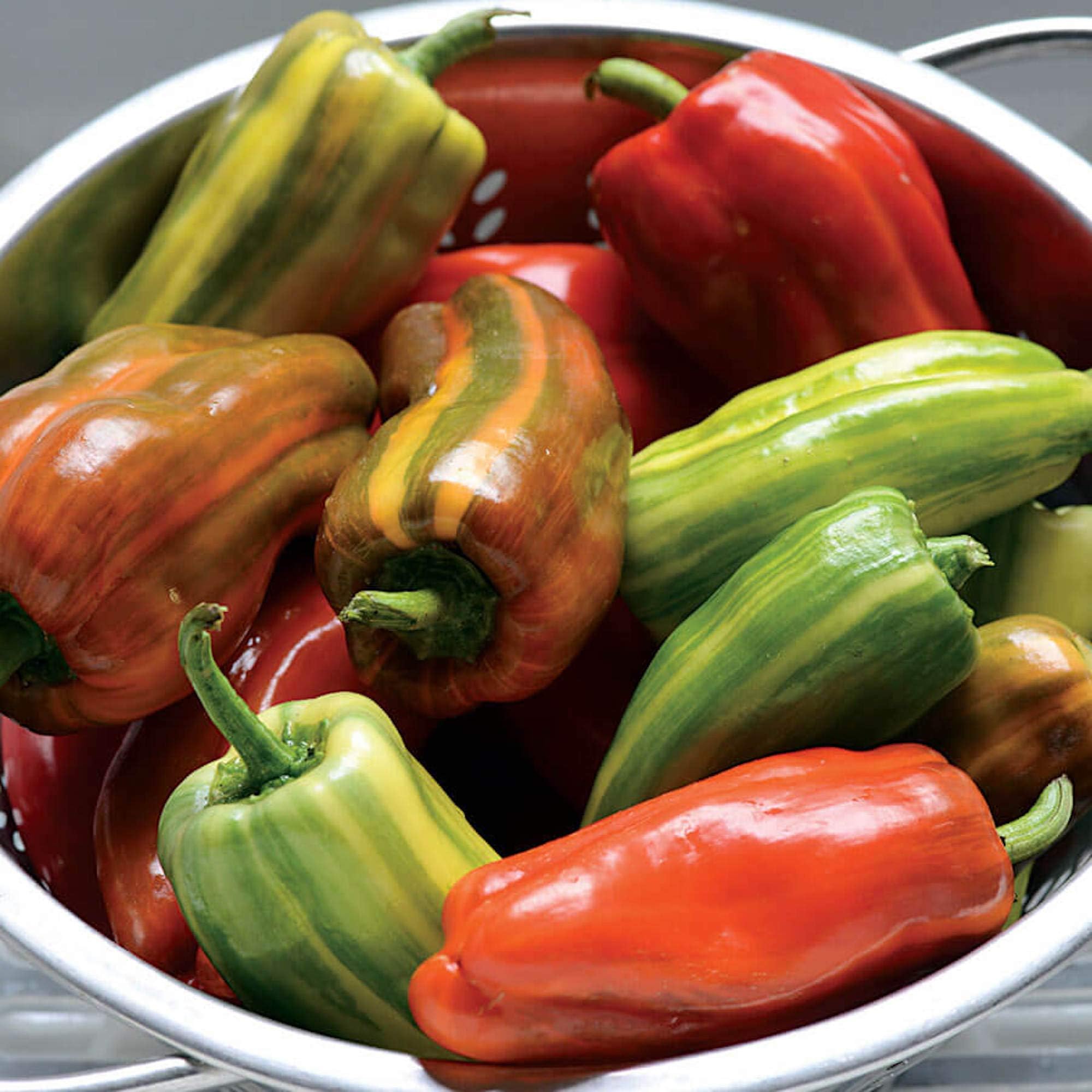 Amazon.com : Candy Cane Chocolate Cherry Pepper Seeds for Planting (10 ...