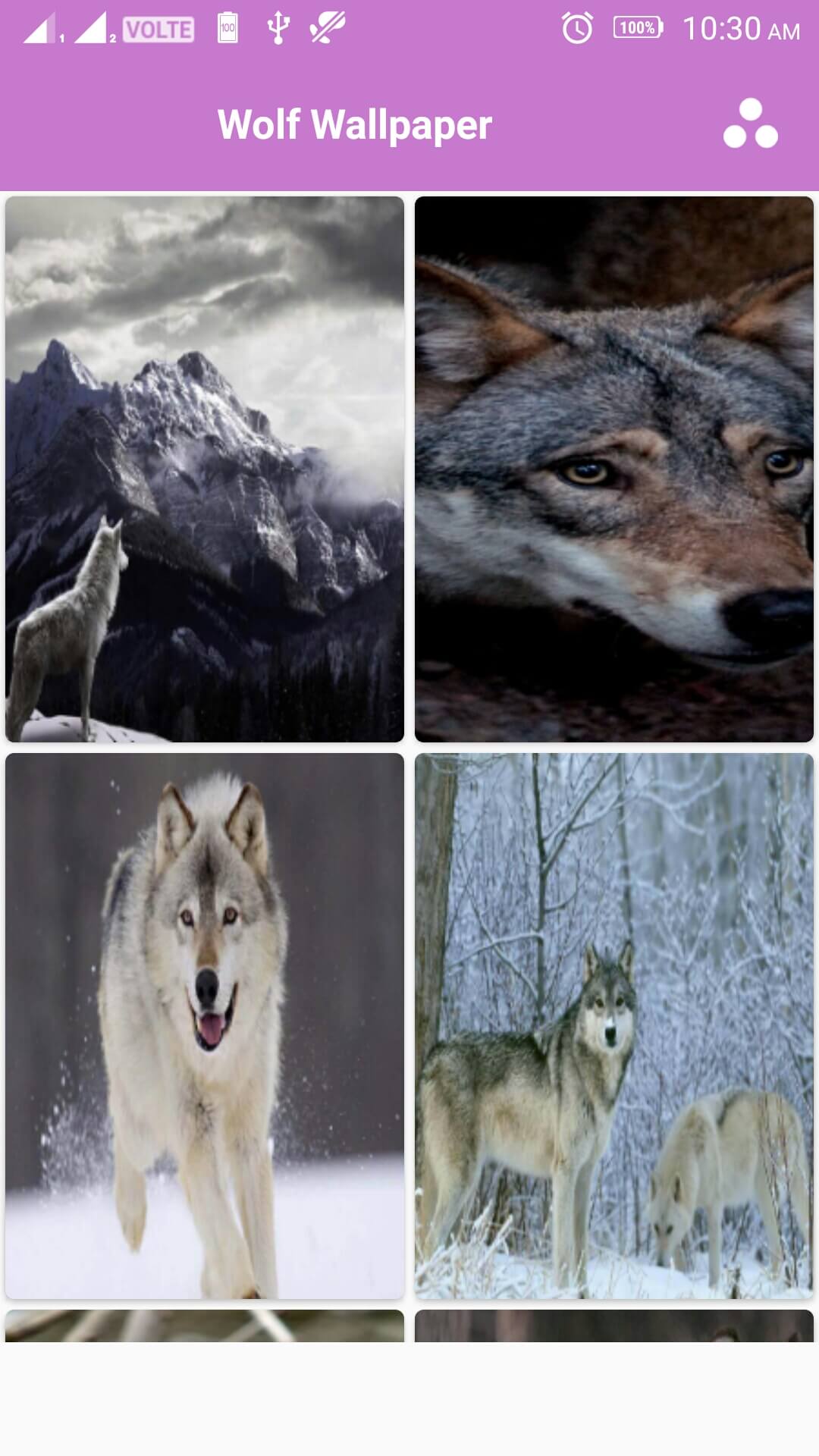 Wolf Wallpaper - App on Amazon Appstore