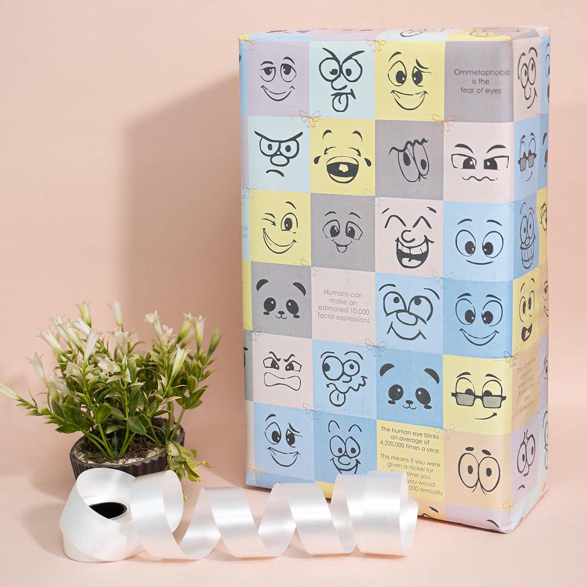 Buy eVincE kids gift wrapping paper | Word Search, Match the butterfly ...