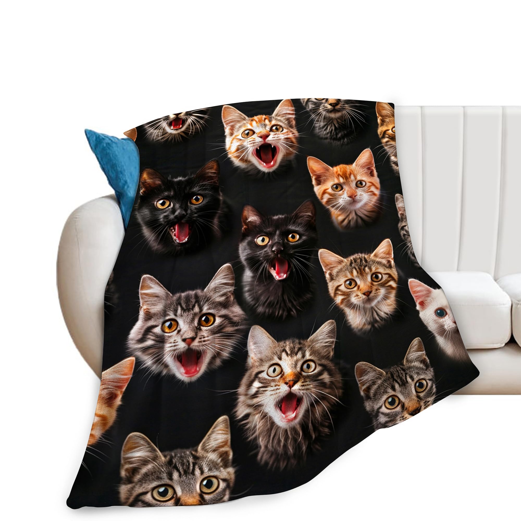 Amazon.com: Funny Cats Blanket Cat Throw Blanket Cat Gifts and Decor ...