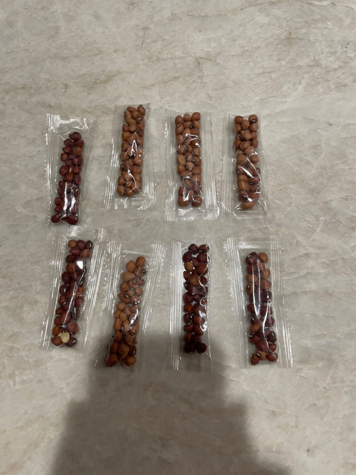Amazon.com : Colossus Cowpea - 9Ω" Long pods A Southern Favorite Great ...