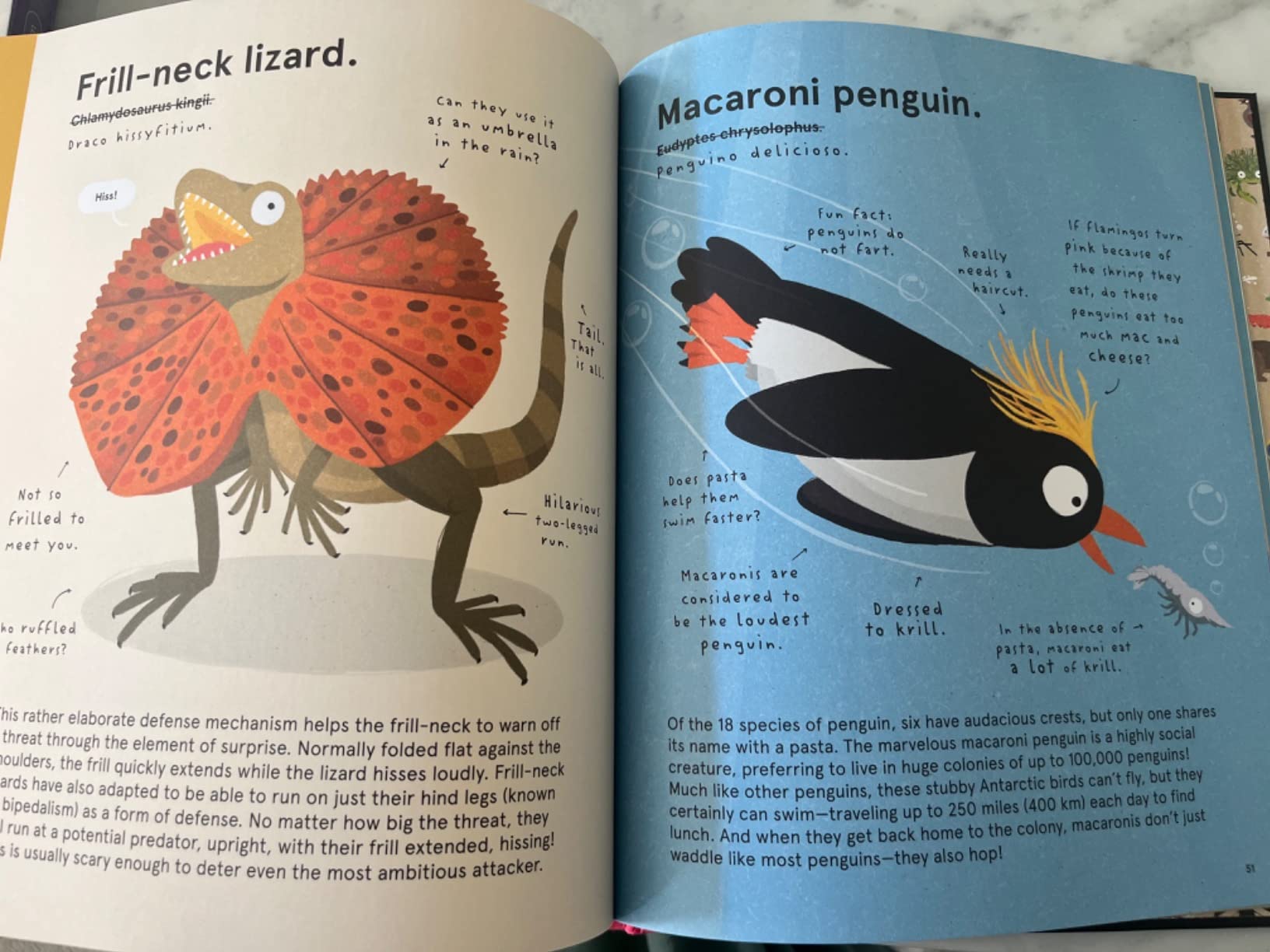 The World's Most Ridiculous Animals (Quirky Creatures) - Kindle edition ...