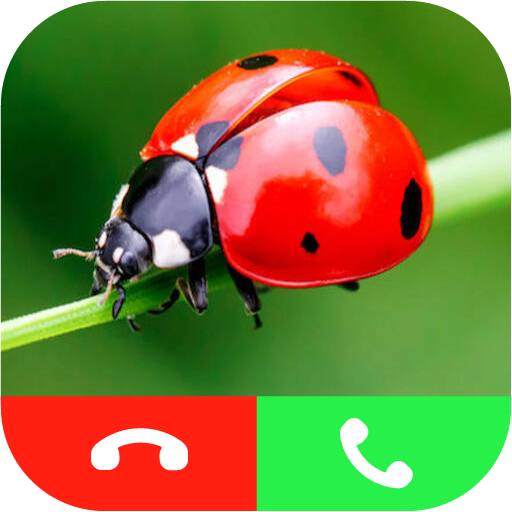 Ladybug Calls - App on Amazon Appstore