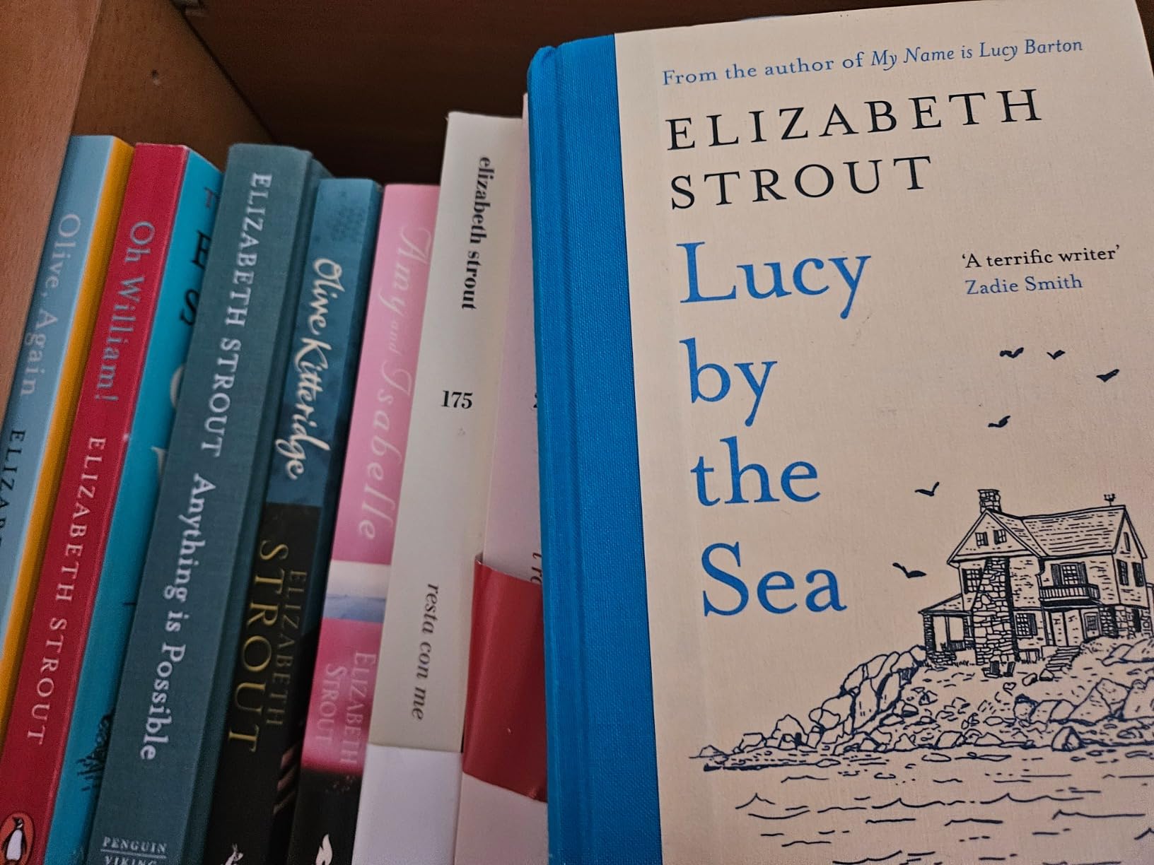 Lucy davanti al mare : Strout, Elizabeth, Basso, Susanna: Amazon.it: Libri
