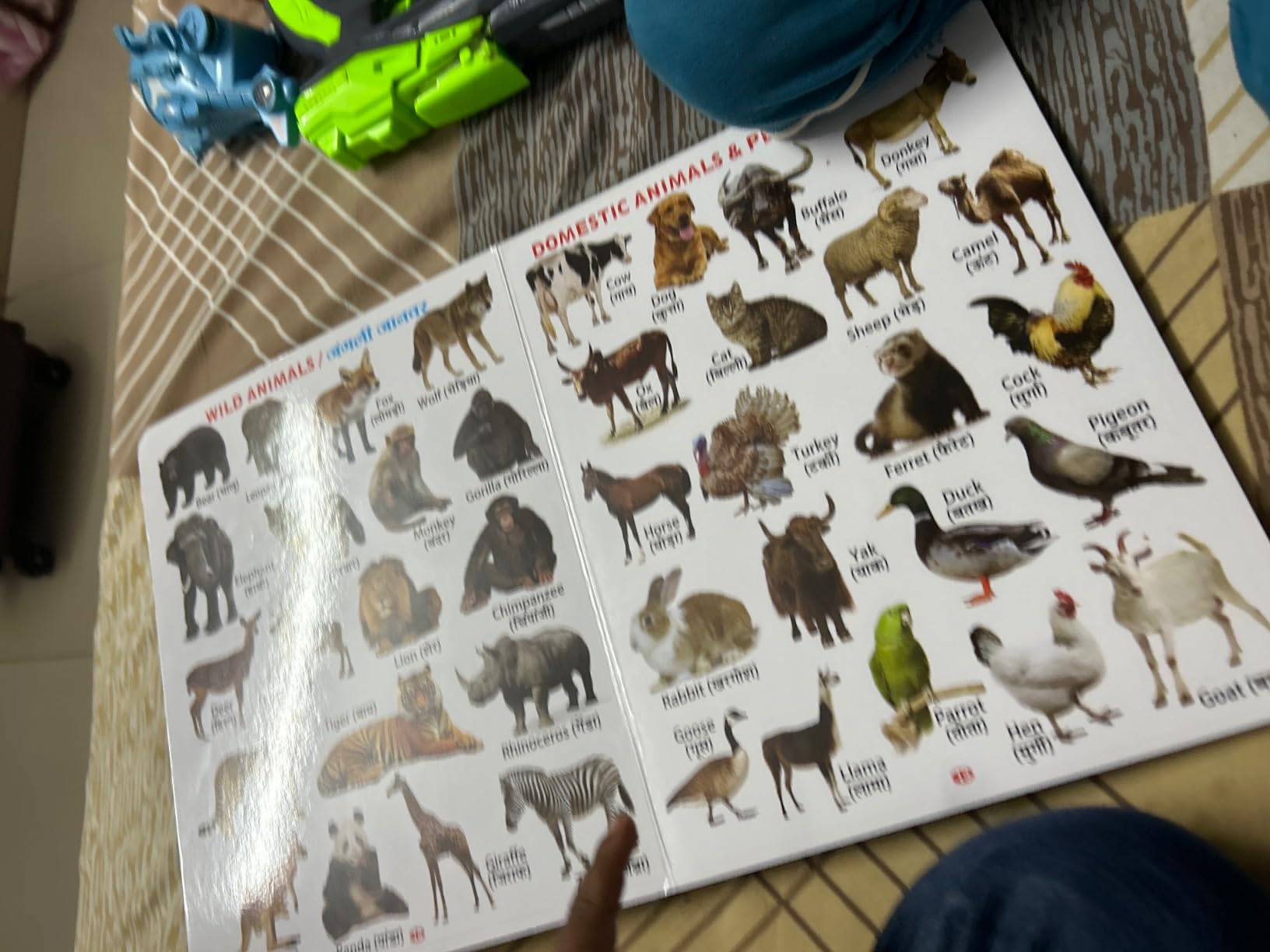 Buy Sawan My First Board Book of All in One English-Hindi [Board book ...