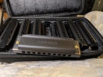 Amazon.com: HOHNER Piedmont Blues 7 Harmonica Pack with Case, Stainless ...