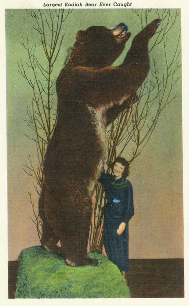 Largest Bear Ever Recorded