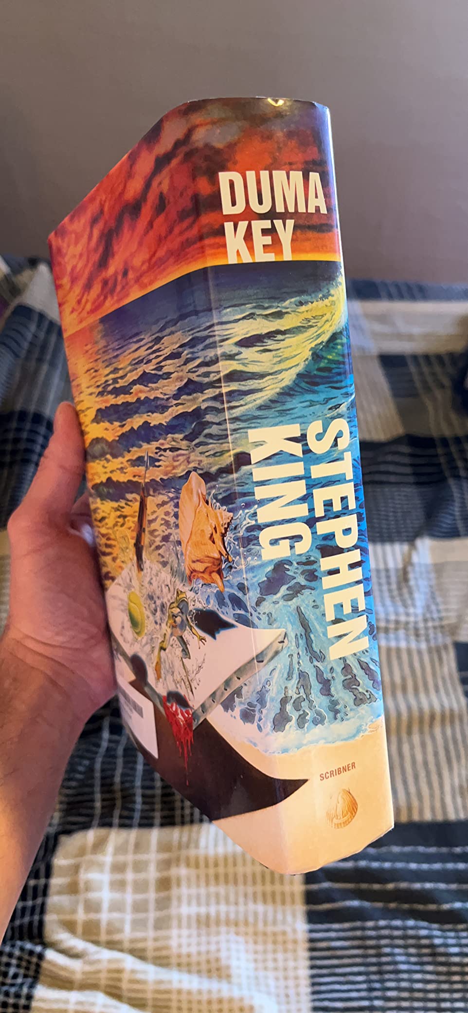 Amazon.com: Duma Key: A Novel: 9781668018095: King, Stephen: Books