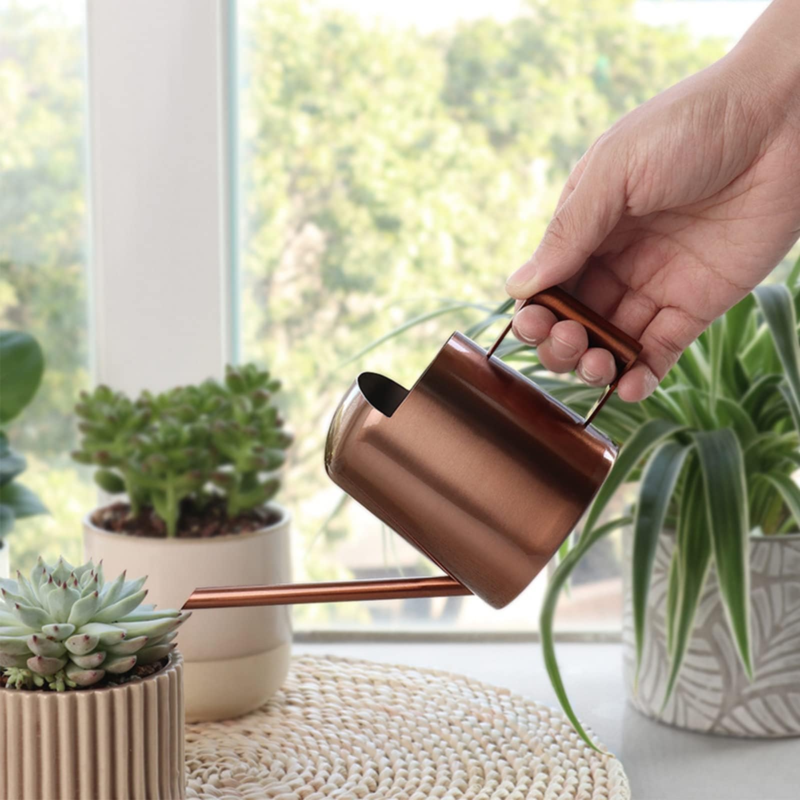 Amazon.com : IMEEA Tiny Watering Can for Indoor Plants Bonsai Tree ...