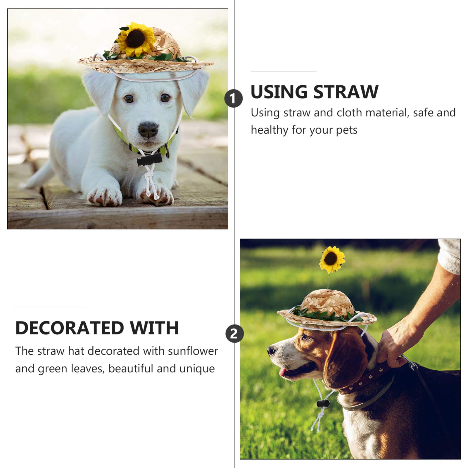 Is Straw Safe For Dogs