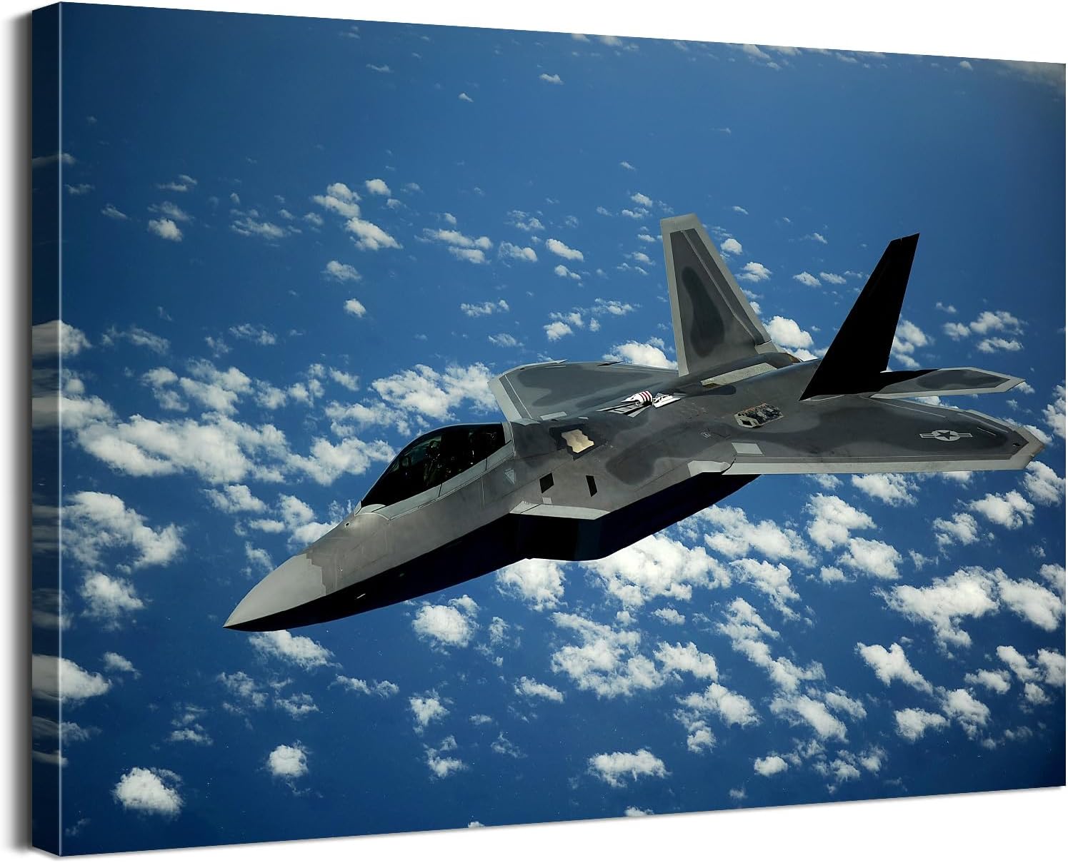Amazon.com: LANIFANT F-22 Raptor Aviation Wall Decor Airplane Wall ...