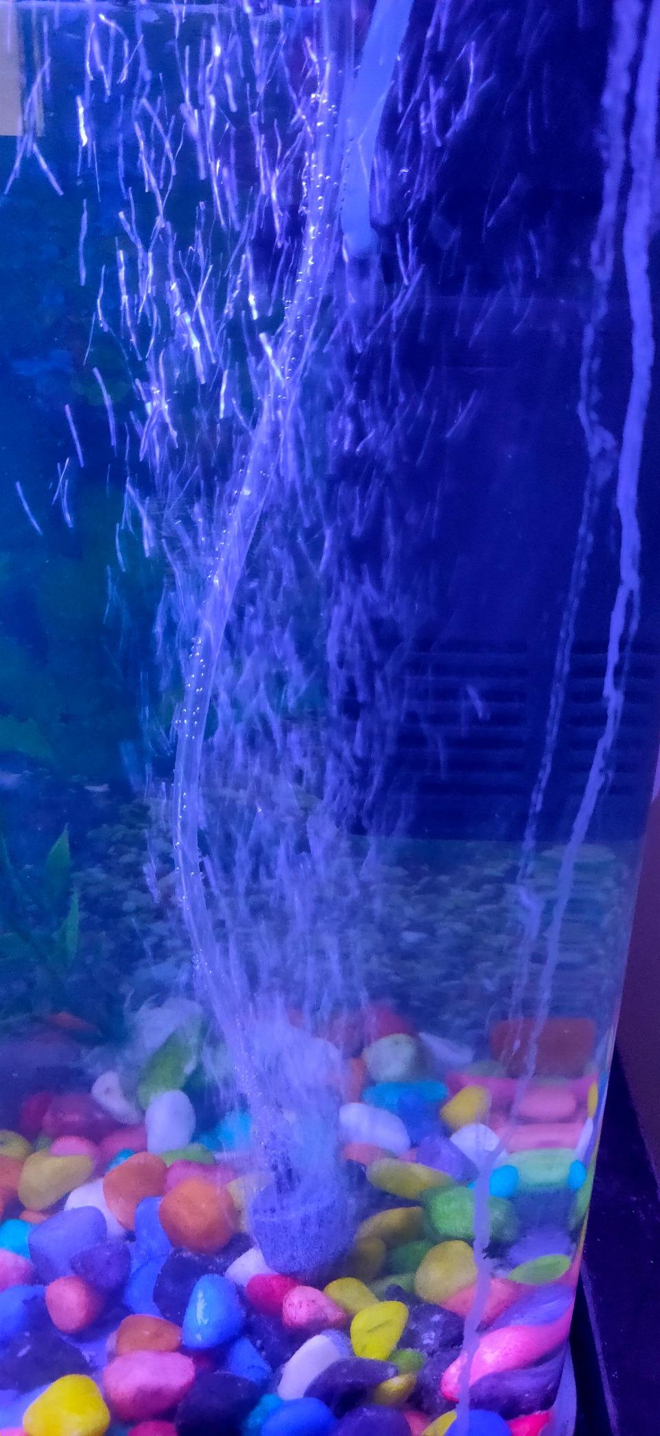 Despacito Aquarium air Pump with Oxygen Super noiseless 2 Speed Control ...