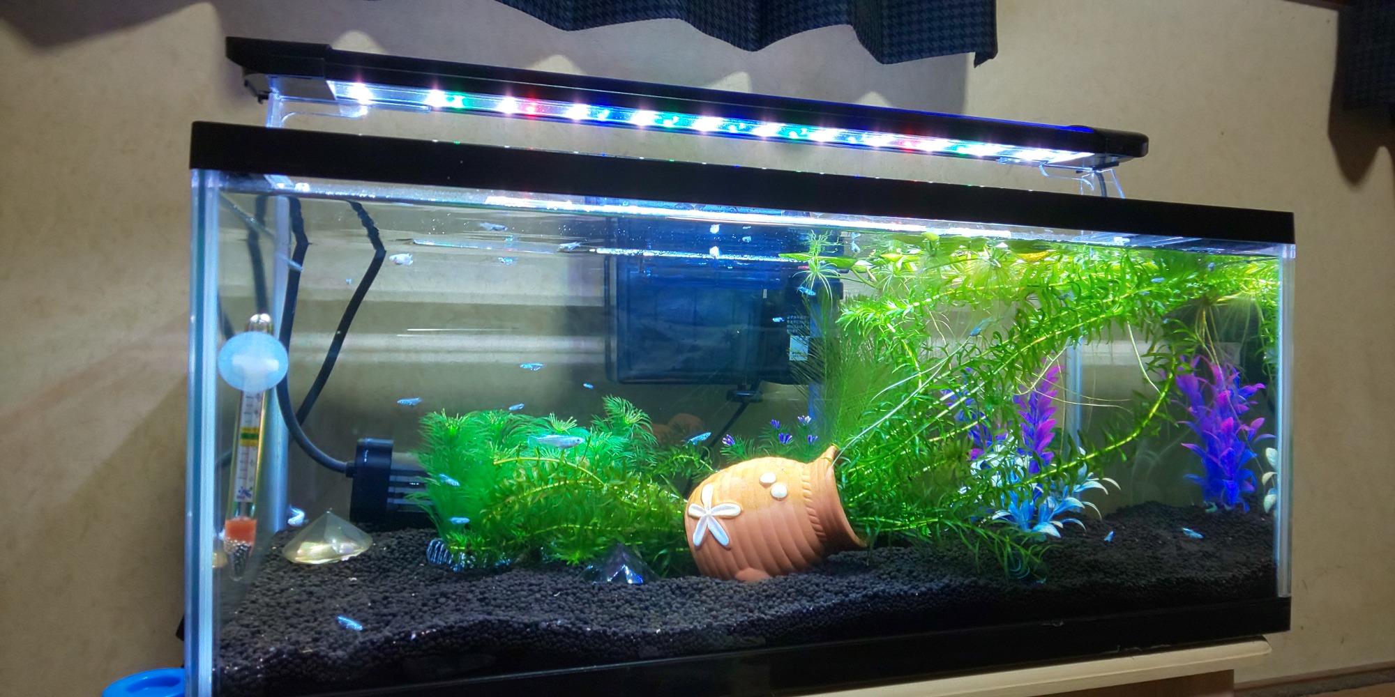 Amazon | ニッソー LED PGライナー600 ブラック | ニッソー | ライト・照明 通販