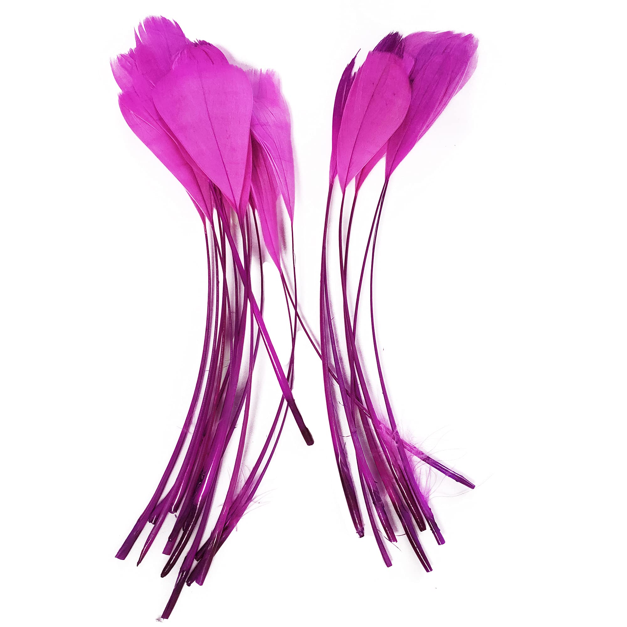 Amazon.com: HAPPY FEATHER 40PCS 5-7 inch Goose Feathers for Crafts, DIY ...