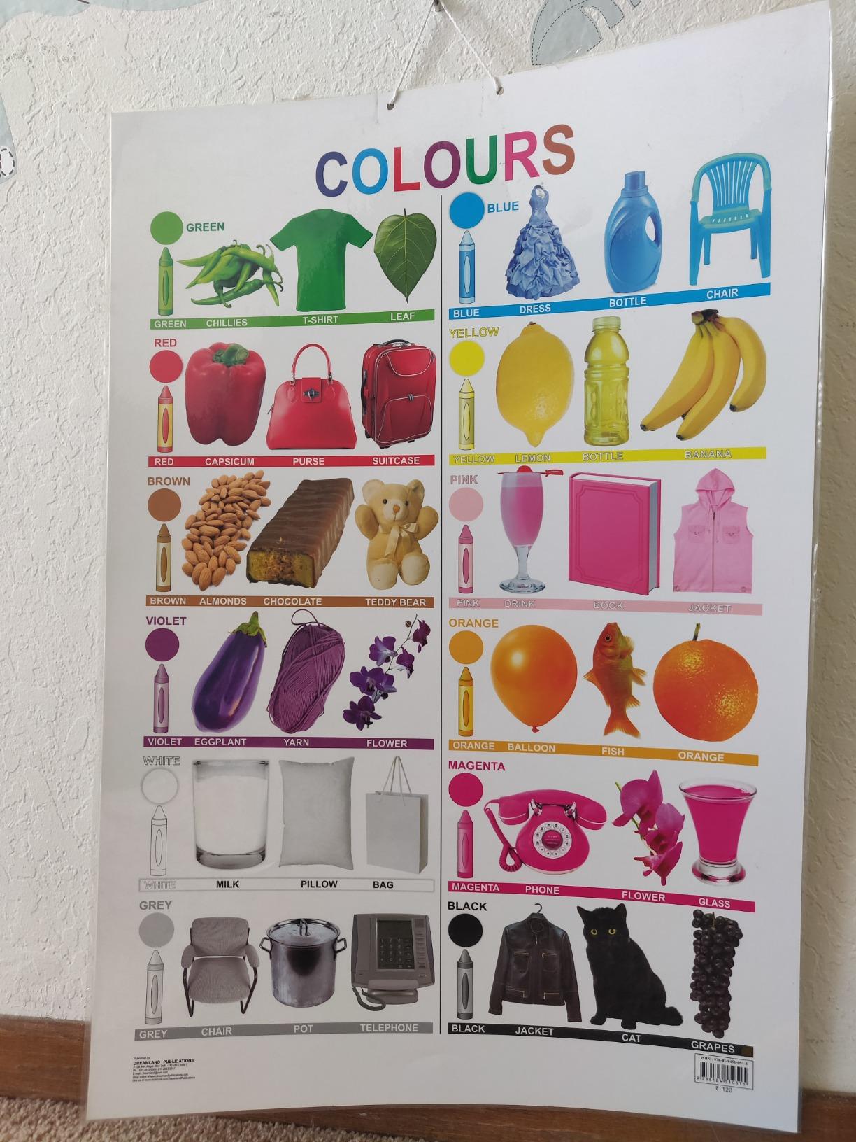 Buy Colours Educational Wall Chart For Kids - Both Side Hard Laminated ...