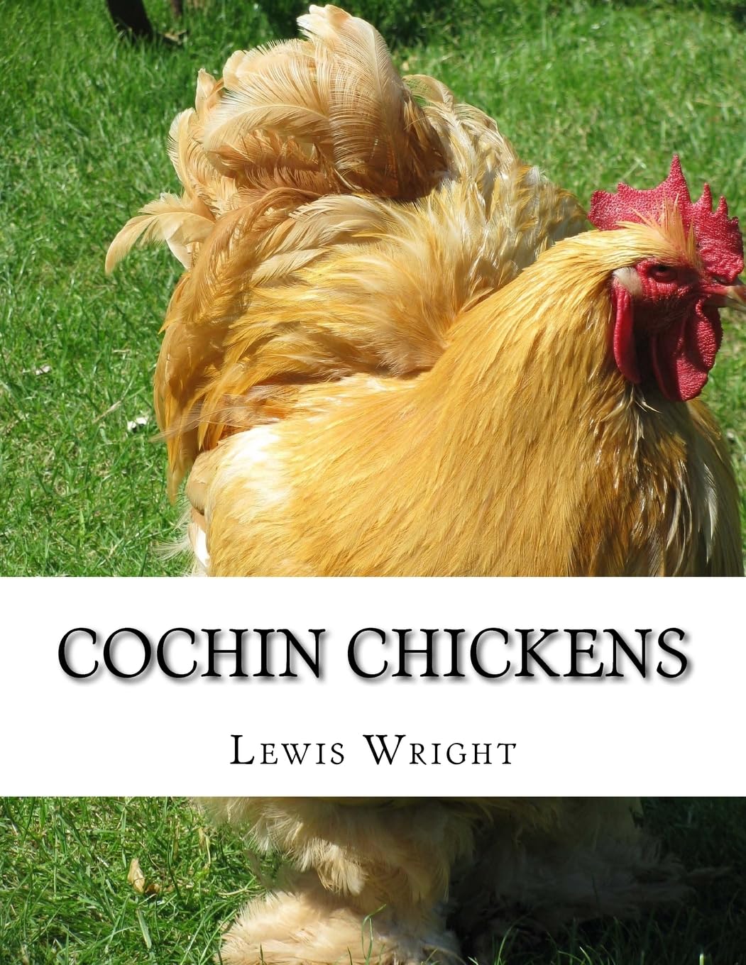 Cochin Chickens: From The Book of Poultry: Wright, Lewis, Chambers ...
