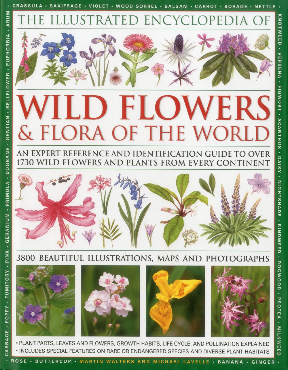 Illustrated Encyclopedia of Wild Flowers & Flora of the World: Lavelle ...