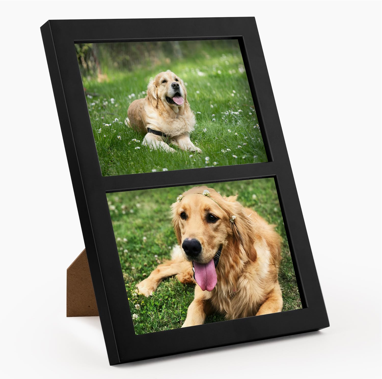 Amazon.com - Golden State Art 5x7 Double Picture Frame - Black Picture ...