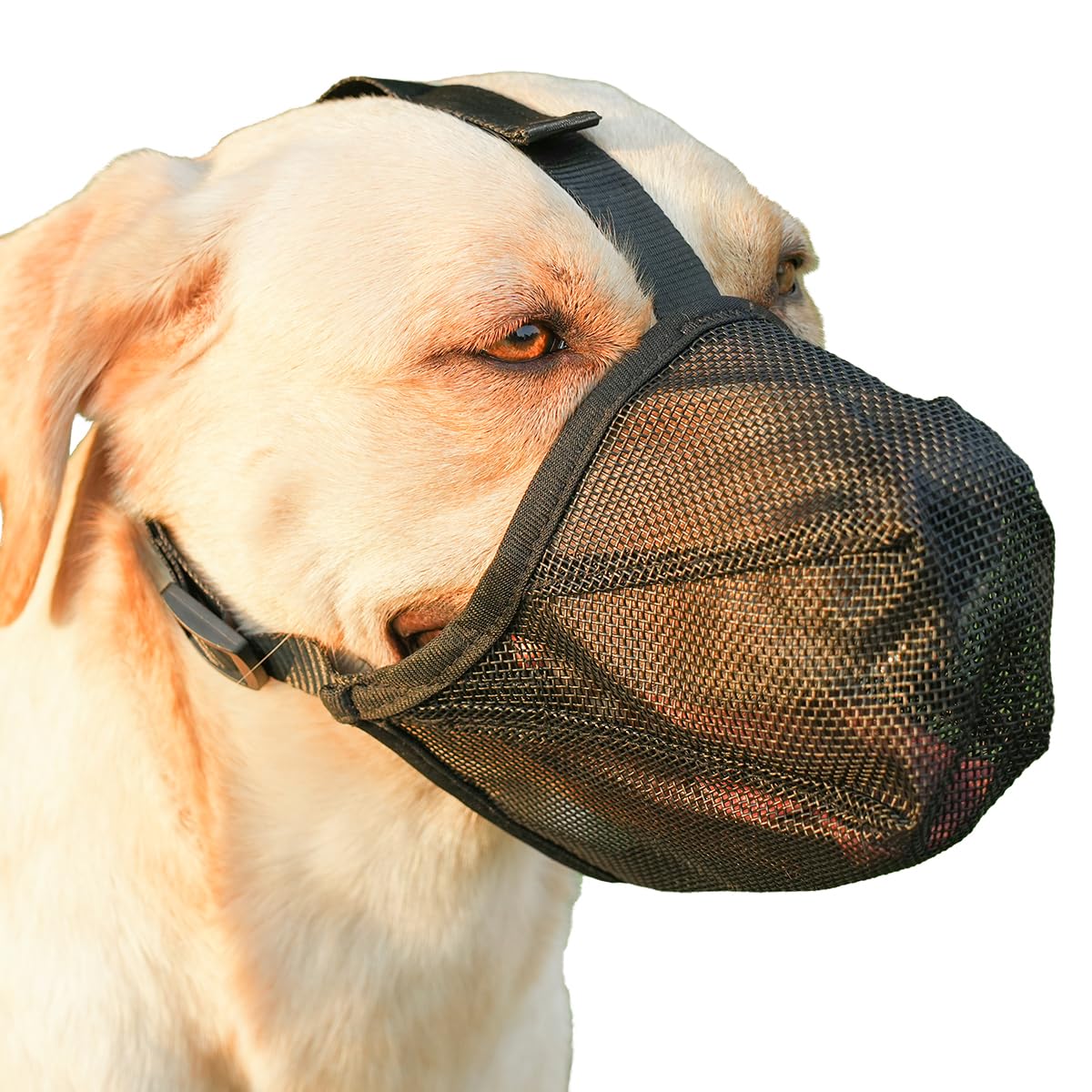 Snapklik.com : VERABE Dog Muzzle, Dog Muzzle For Large Small Medium ...
