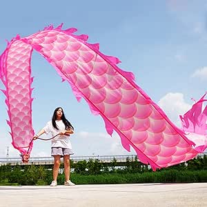Amazon.com: Dragon Poi Rainbow Twirler Silk Dragon Dance Ribbon ...