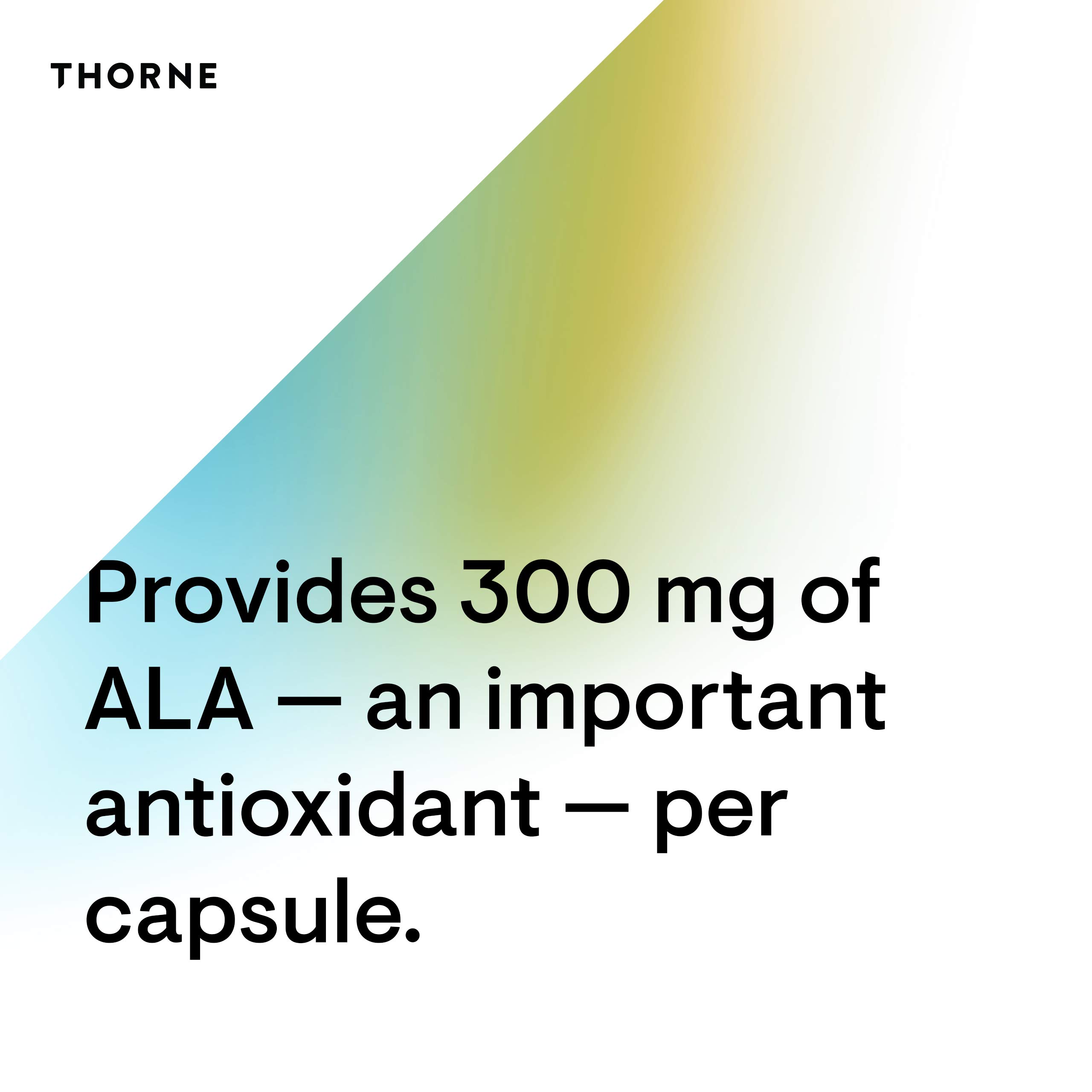Snapklik.com : THORNE Alpha-Lipoic Acid - 300 Mg - Supplement Liver Detox