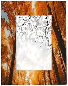 Amazon.com - cfpolar Autumn Trees Fall Forest 8x10 Picture Frame Solid ...