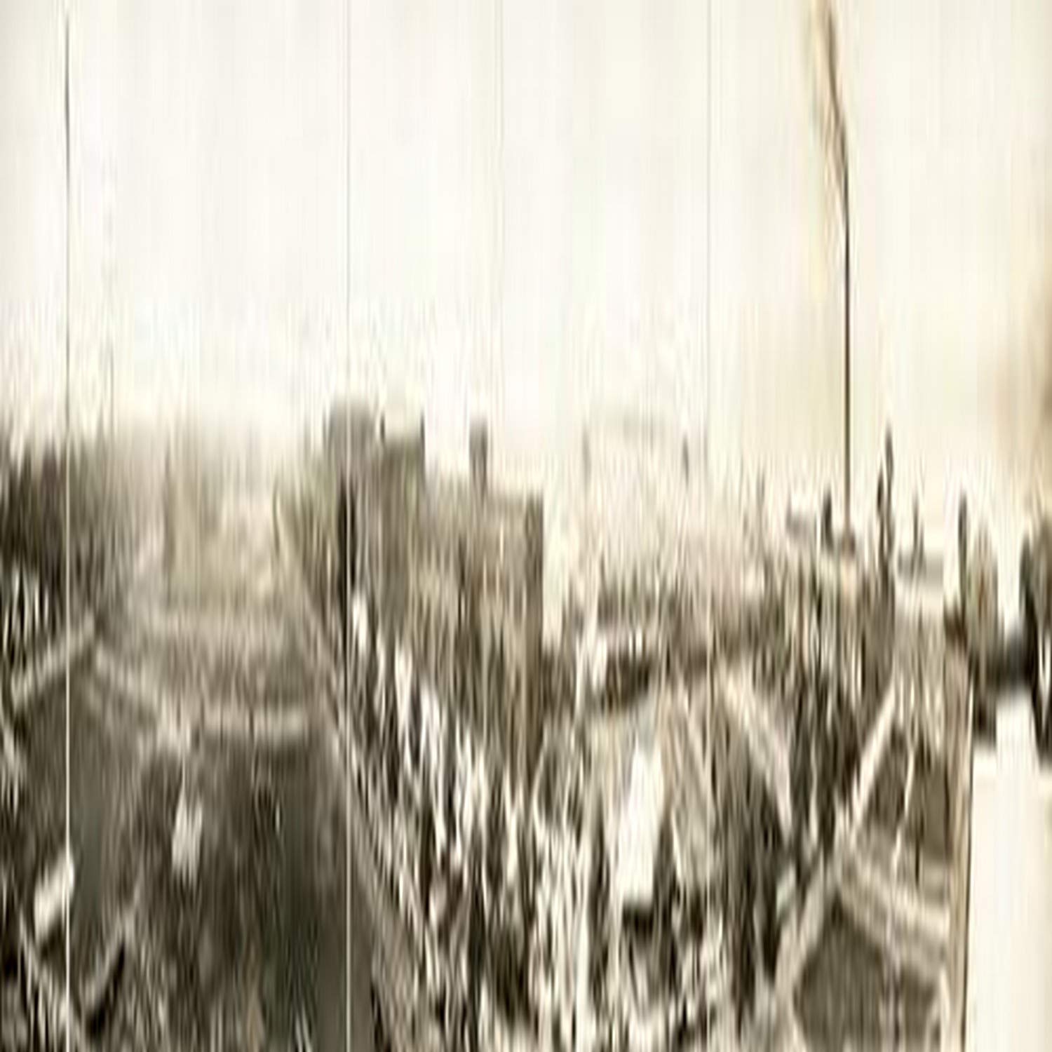 Buy Panorama of Birds eye view of Great Lakes Naval Training Station ...