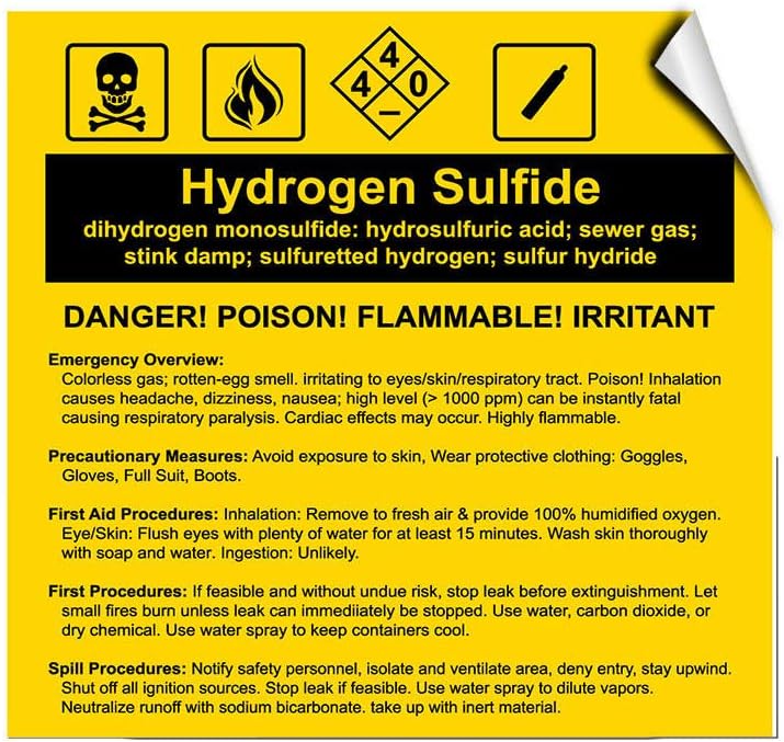 Amazon.com : Hydrogen Sulfide Dihydrogen Monosulfide; Hydrosulfuric ...