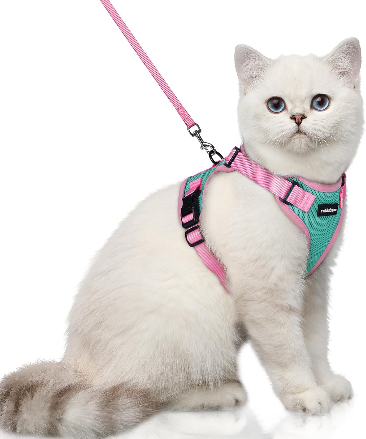 Pet Supplies : rabbitgoo Cat Harness and Leash Set, Escape Proof Soft ...