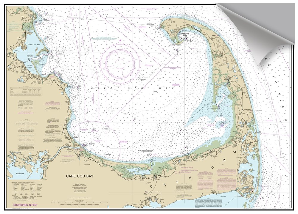 Amazon.com: Cape Cod Bay, MA Decorative Nautical Chart: Posters & Prints