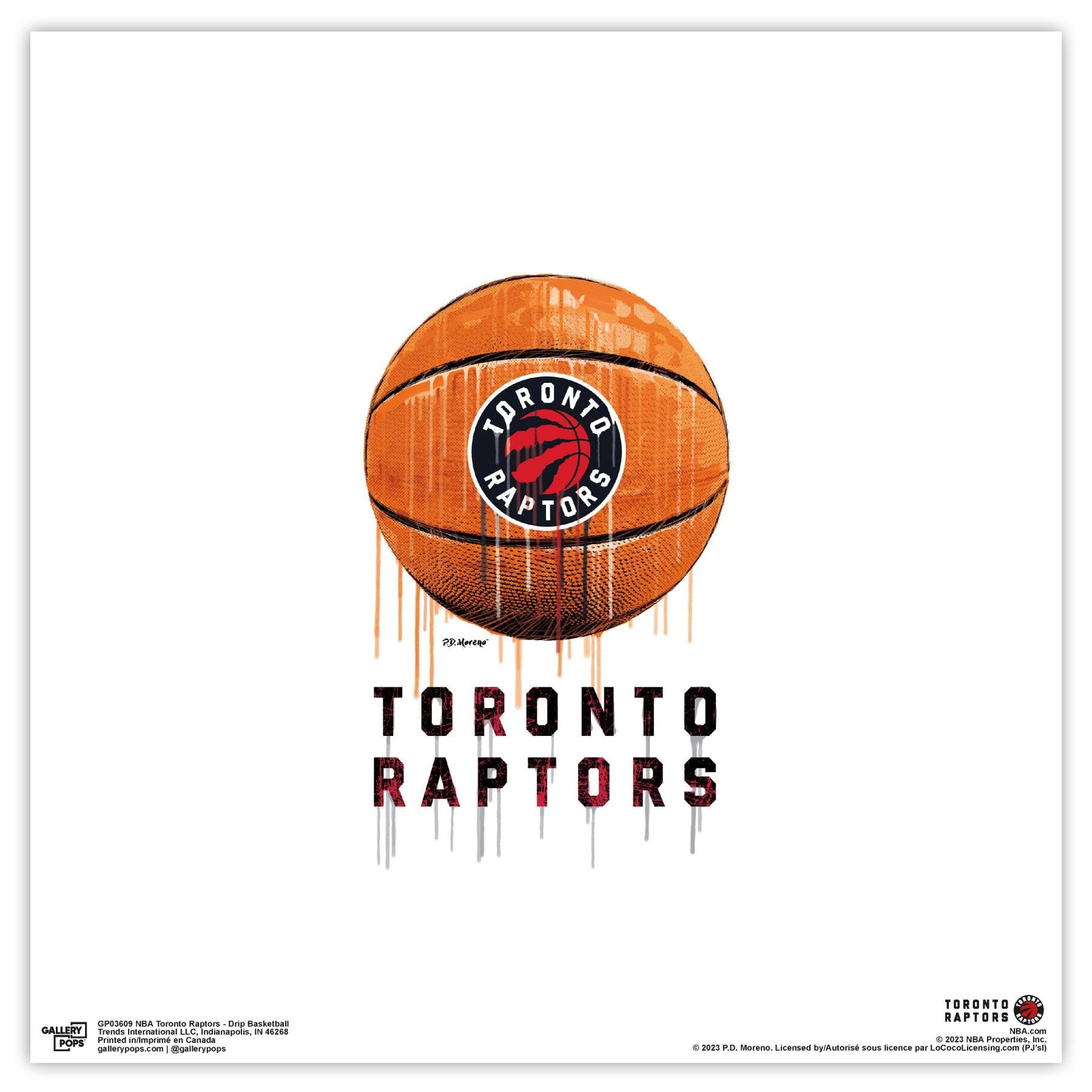 Amazon.com: Trends International Gallery Pops NBA Toronto Raptors ...