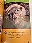 Amazon.com: Farm Animals (National Geographic Kids Readers, Level 1/Co ...