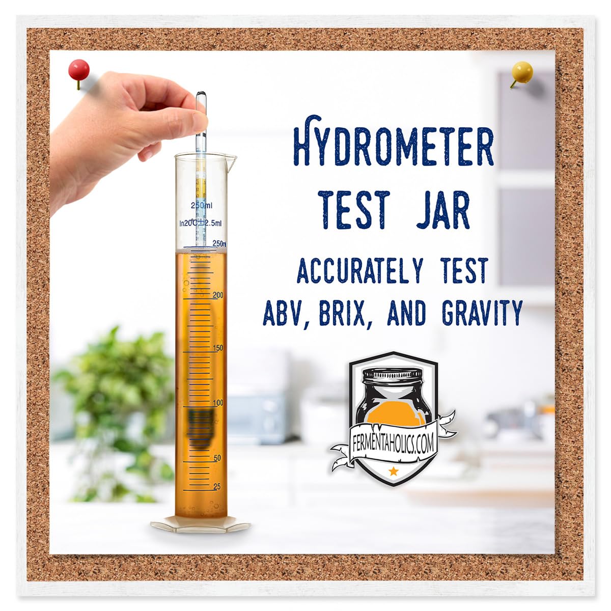 Snapklik.com : Fermentaholics Hydrometer Test Jar & Measuring Cylinder ...