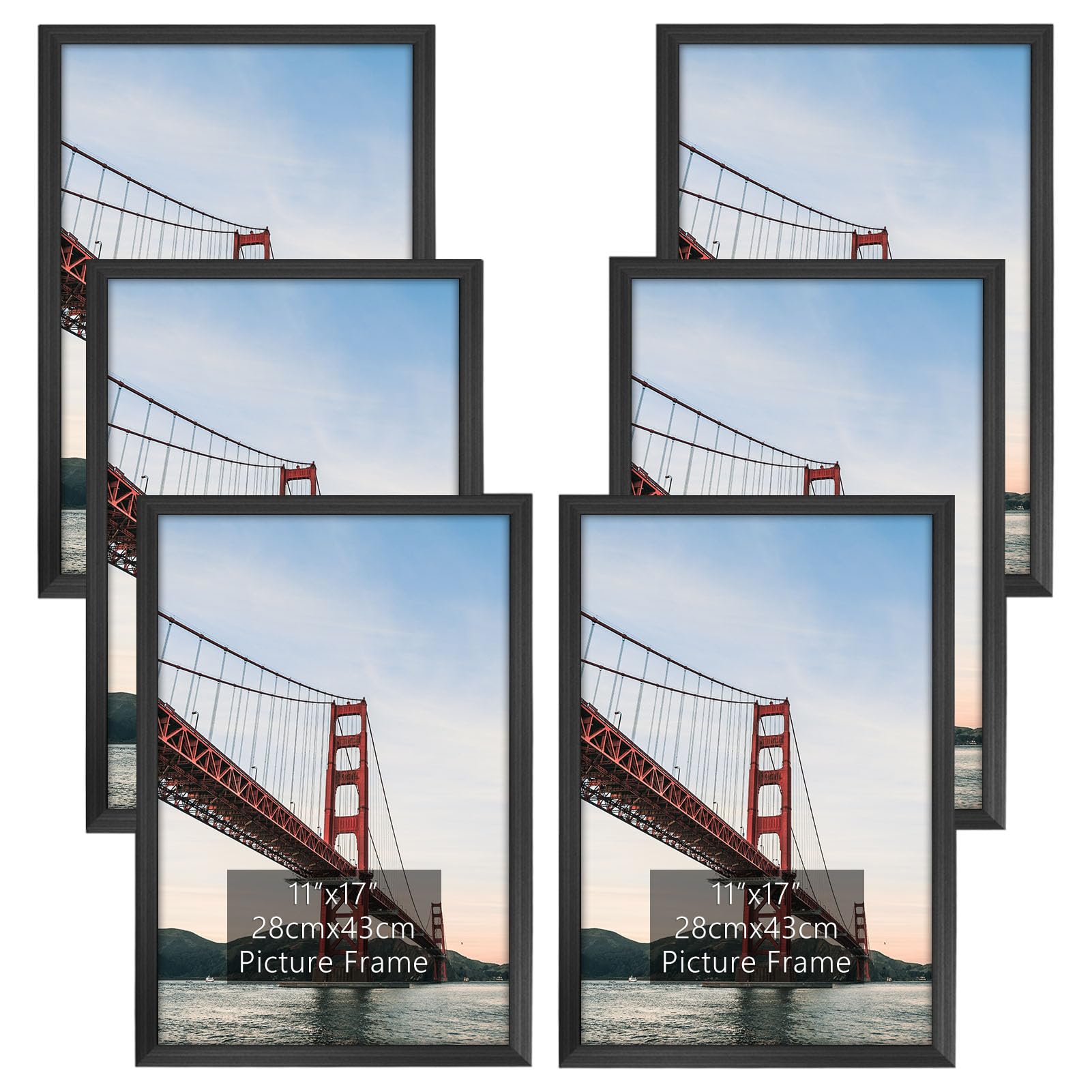 Amazon.com - Lavezee 11x17 Picture Frame Set of 6, Made to Display 11 ...