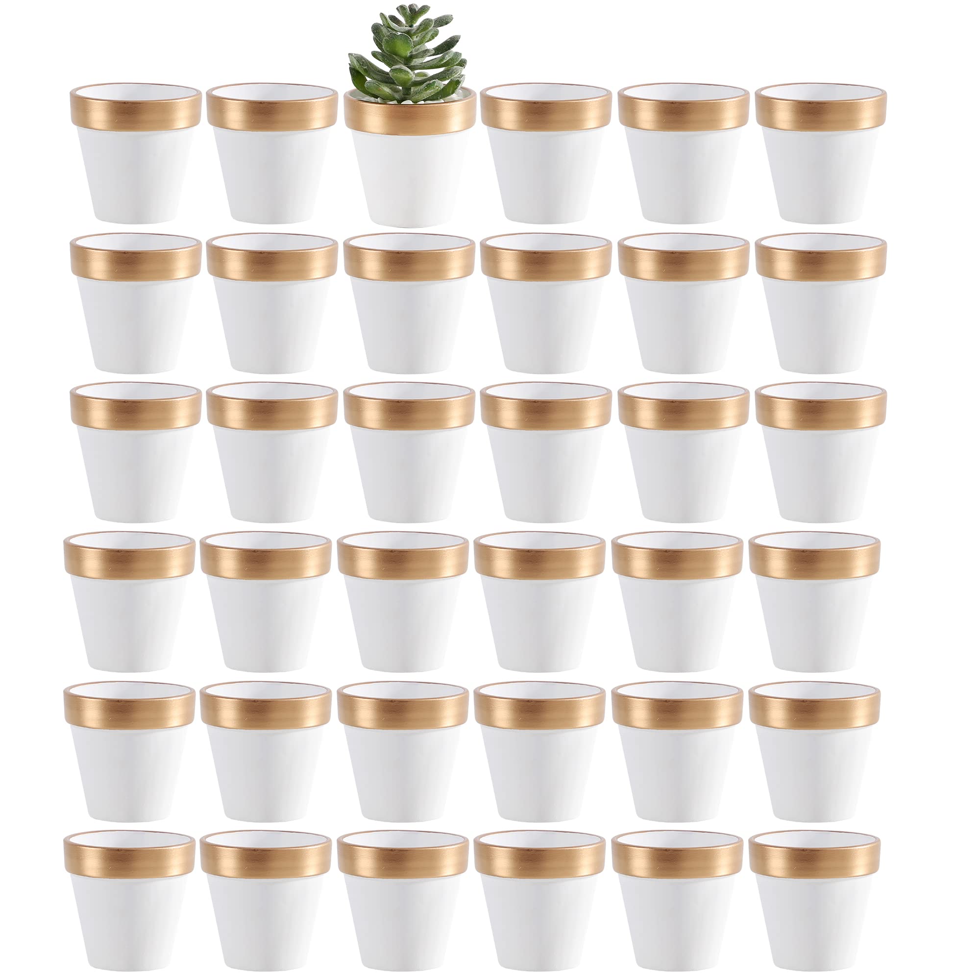 Amazon.com: Yishang 36 pcs Small Mini White&Gold Clay Pots, 2.5 ...