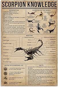 Amazon.com: Haosensix Scorpion Knowledge Metal Tin Sign Scorpion In The ...