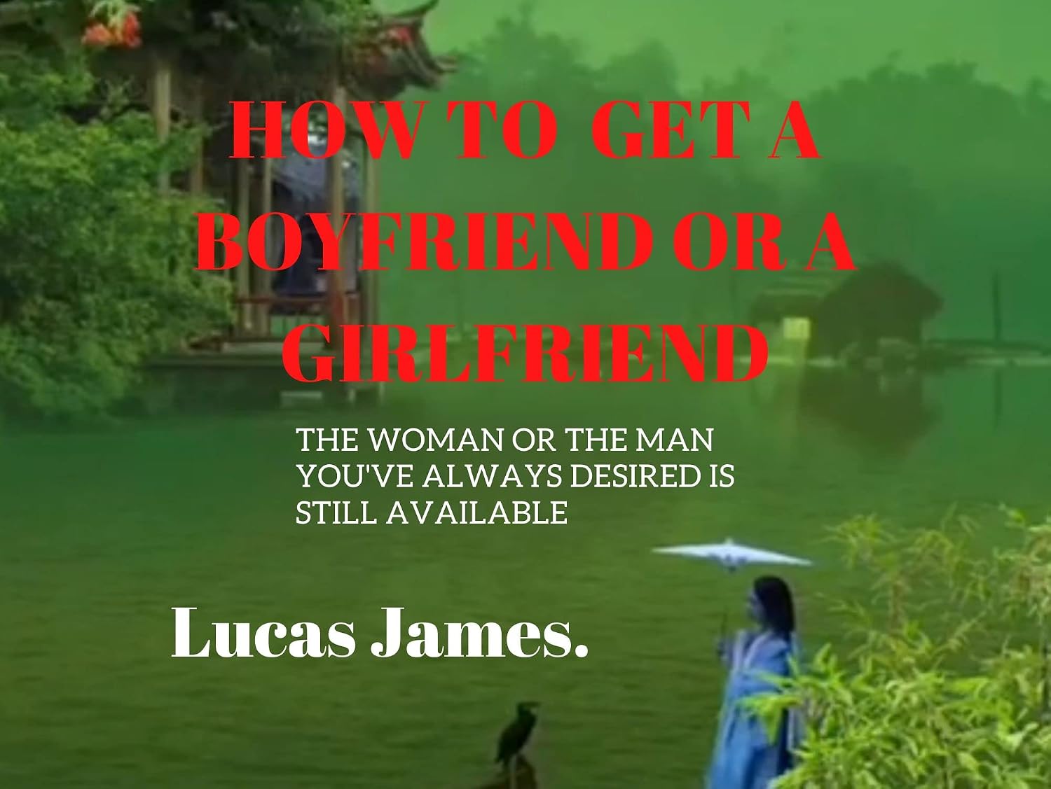 Amazon.com: How to get a boyfriend or a girlfriend : The woman or the ...