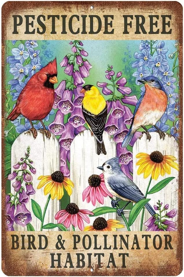 Amazon.com : Vintage Garden Signs Pesticide Free Bird &pollinator ...