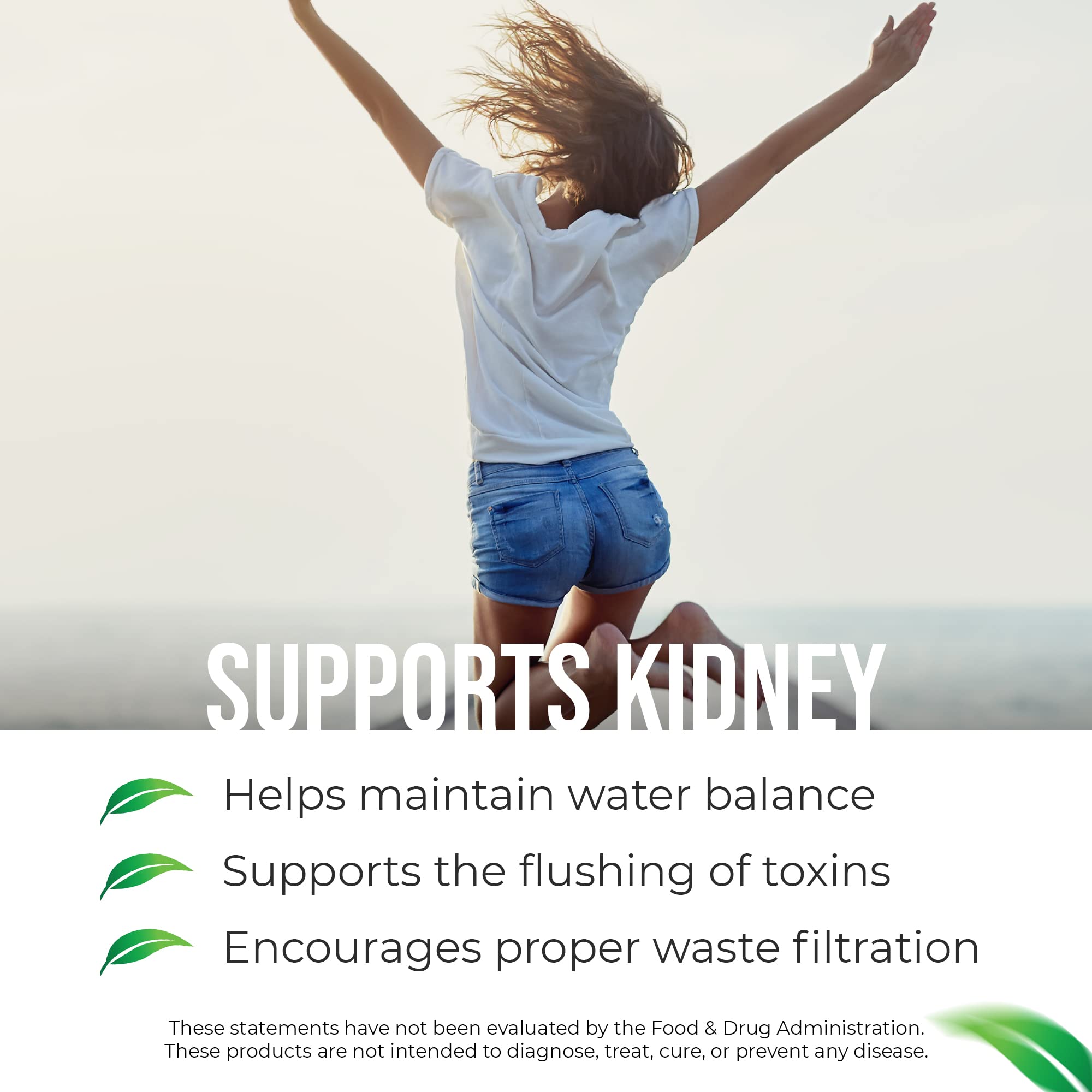 Botanic Choice - Cápsulas ultra renales, fórmula de apoyo renal con ...