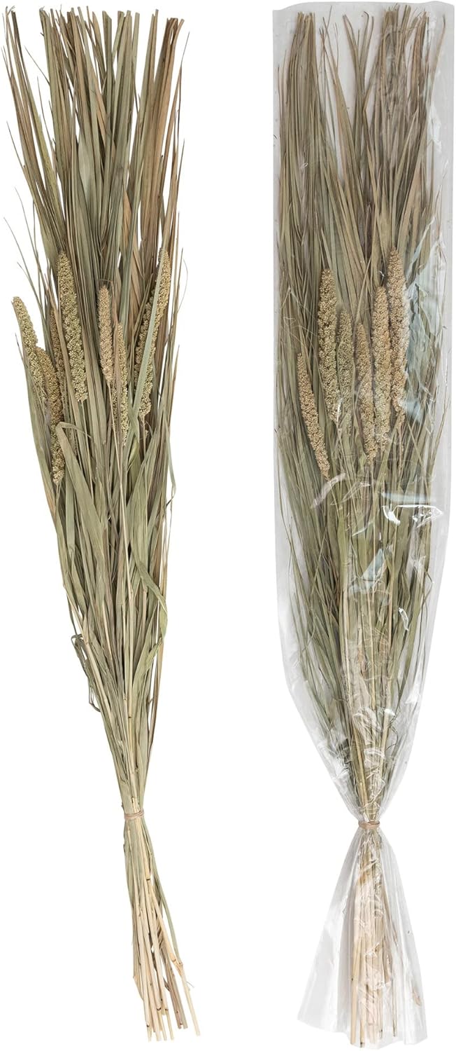 Amazon.com: Creative Co-Op 38"H Dried Natural Canary Grass & Date Palm ...