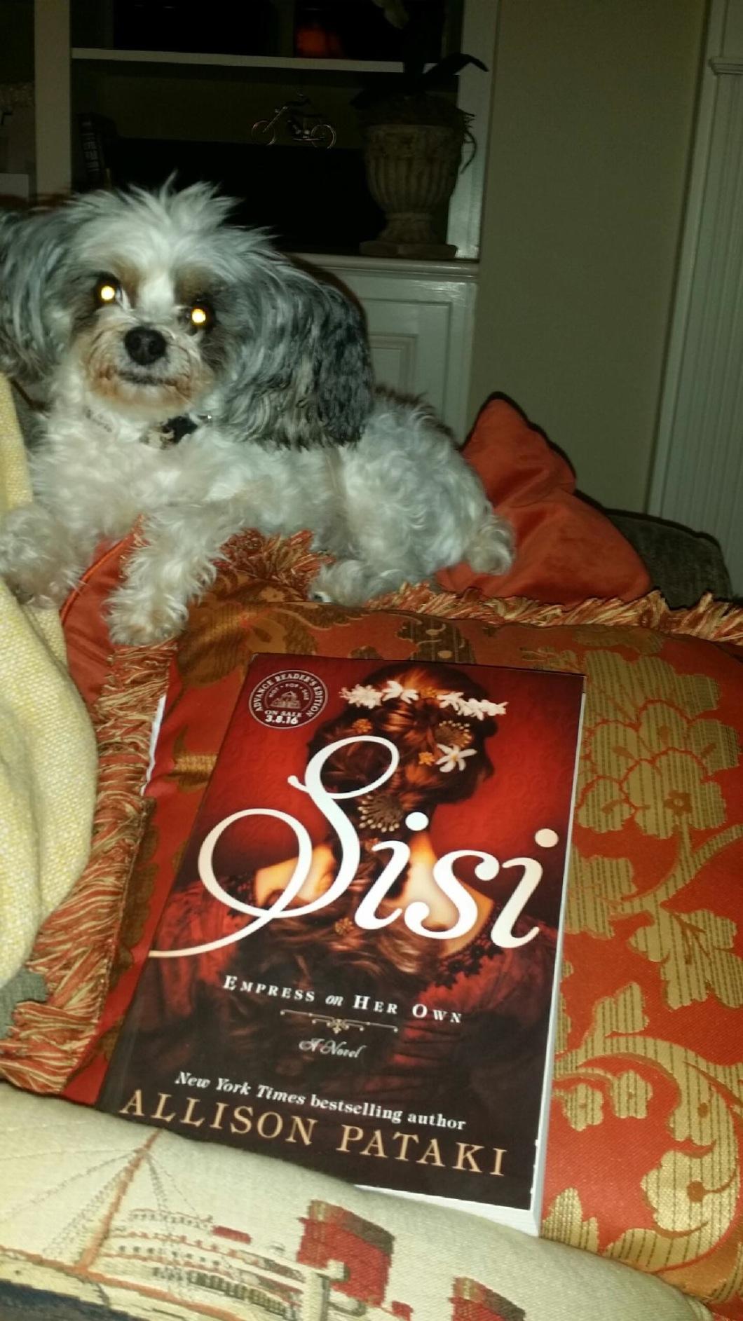 Amazon.com: Sisi: Empress on Her Own: A Novel: 9780812989335: Pataki ...